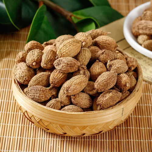 nausea, vomiting, abdominal pain, bloating_Villous amomum fruit ...